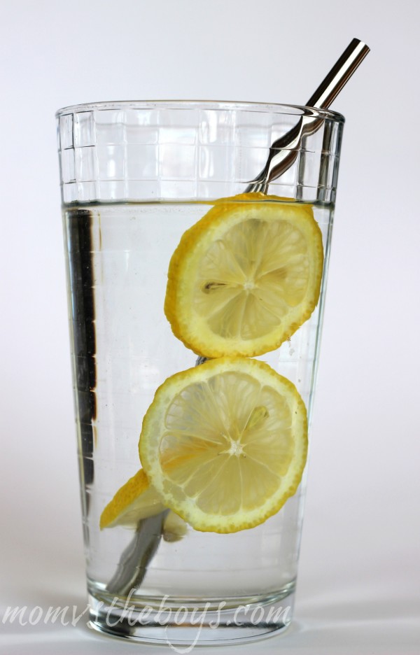 Lavish and Lime has waste free lunch Essentials
