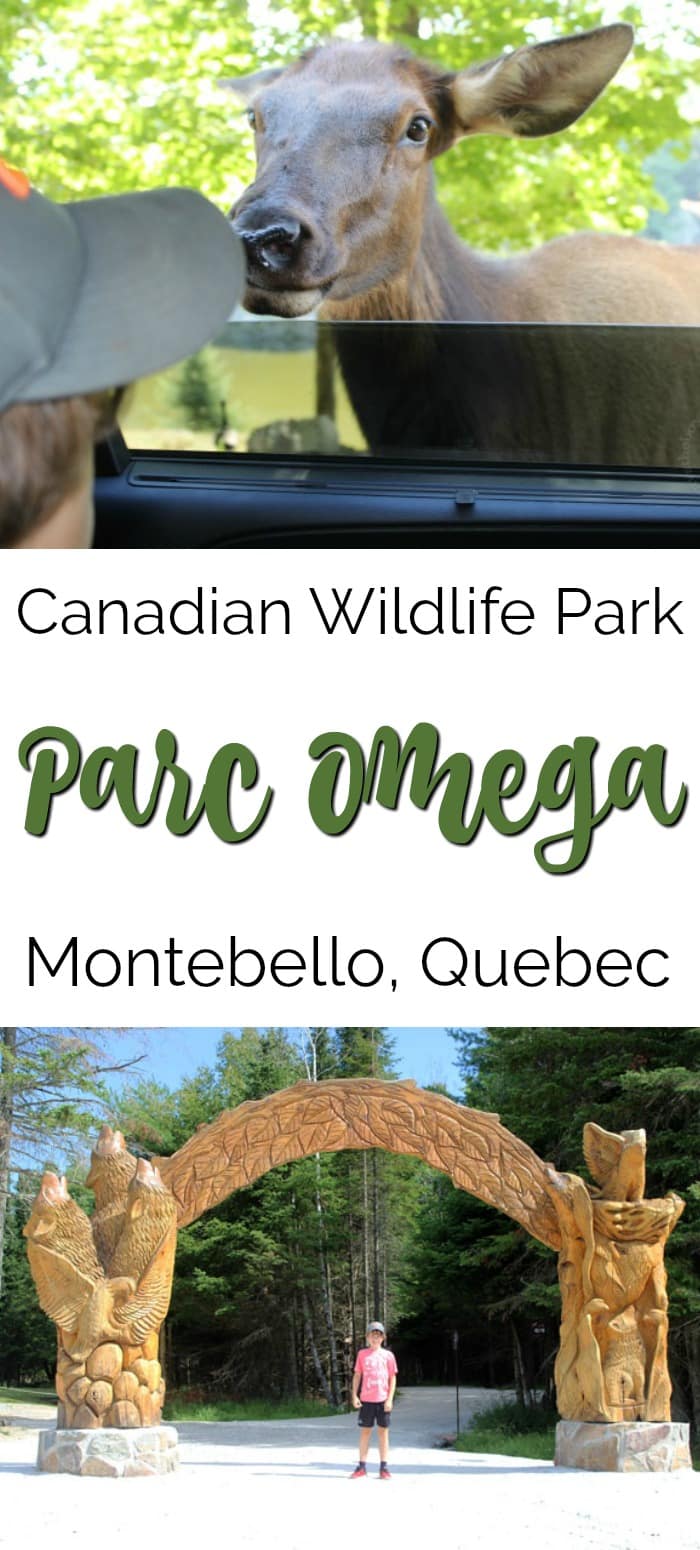 Visiting Parc Omega, Montebello, Quebec – Mom vs the Boys